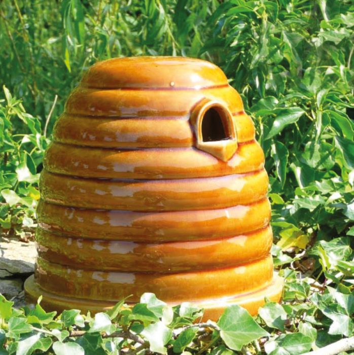 Wildlife - Natural Collection