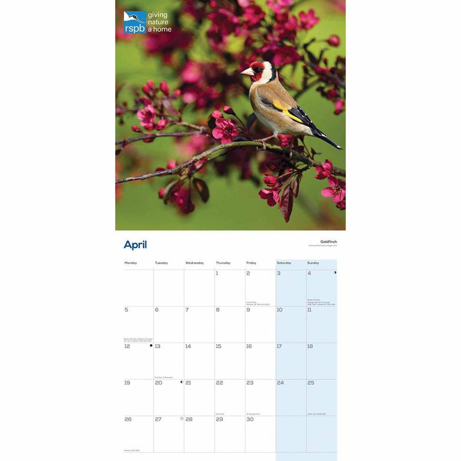 RSPB British Garden Birds 2021 Wall Calendar - RSPB