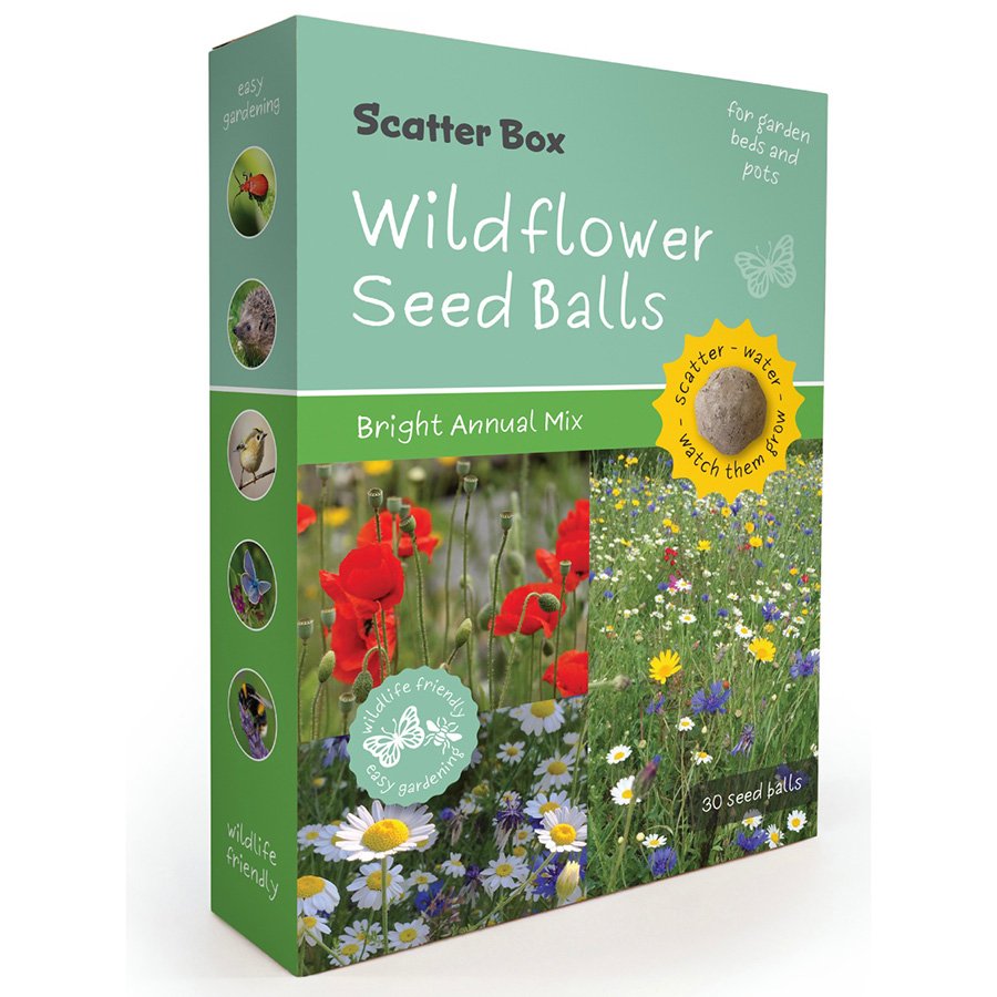 Seedball Scatter Box - Bright Annual - Seedball